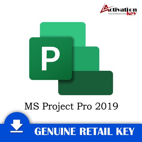Ms Project Pro 2019 Retail Key Actvkey