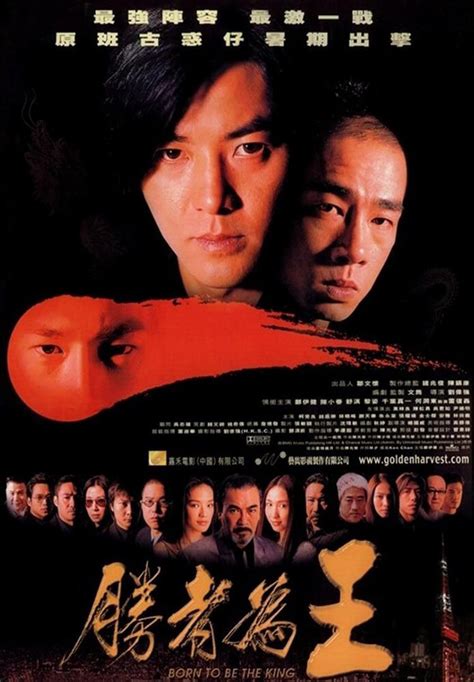 胜者为王 Qiidb