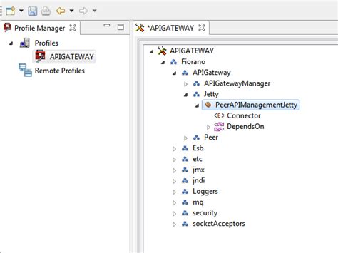 Adding Multiple Connectors In Gateway Jetty Server