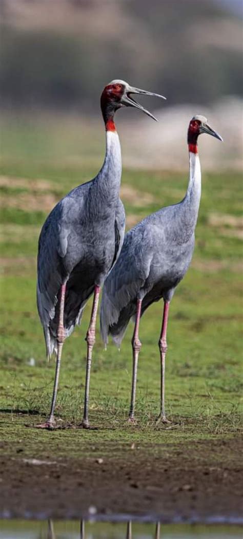 sunil pradhan posted on linkedin