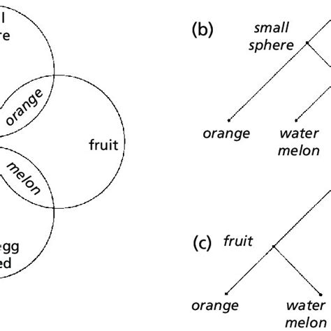 Overlapping Subsets A Partitions Of The Items Tennis Ball Orange