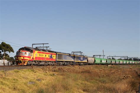 Auscision Liveried Clp9 Leads El62 And El56 Through Sunshine On An Up Ssr Grain Wongms Rail