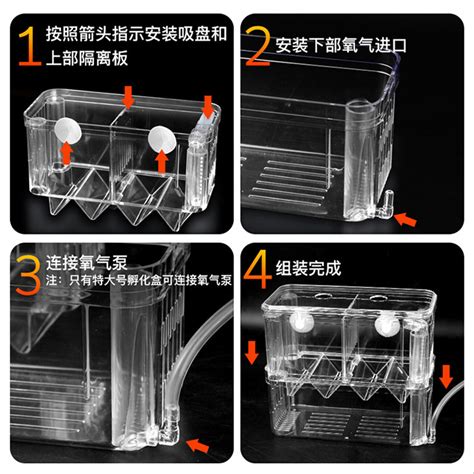 Breeding Box Kiwi Aqua