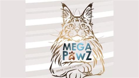 Maine Coon Kittens For Sale In Alabama Breeders List 2025 I Want A