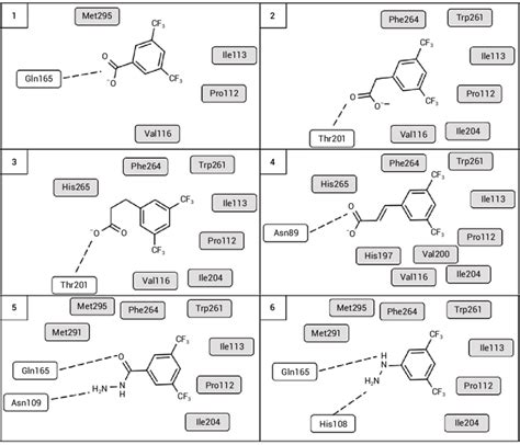 Binding Modes Of Compounds 1 6 At The Hnk1r Predicted By Docking In A Download Scientific