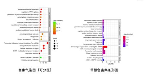 组学数据分析实操系列 (四) 富集气泡图的绘制 哔哩哔哩 组学数据分析实操系列 (四) 富集气泡图的绘制 哔哩哔哩