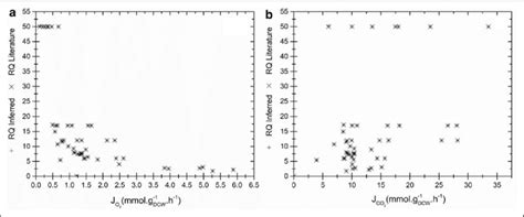 Ann Experimental Points Prediction Ann Prediction X