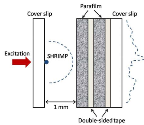 Schematic Diagram Of The Sample Structure Download Scientific Diagram