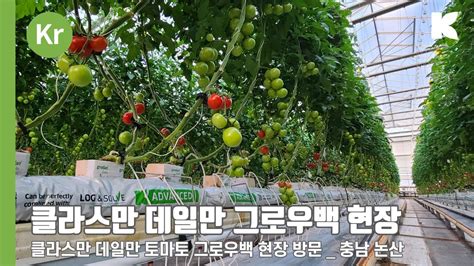 내 작물을 지키는 방법 클라스만 데일만 세계 1위 코코피트 그로우백 Youtube