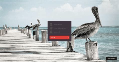 001 Sign Up Codesandbox