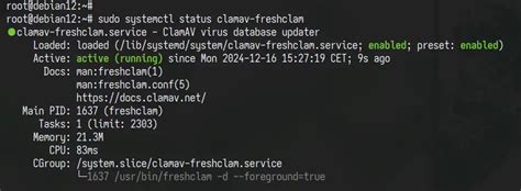 How To Install And Use Clamav Antivirus On Debian 12