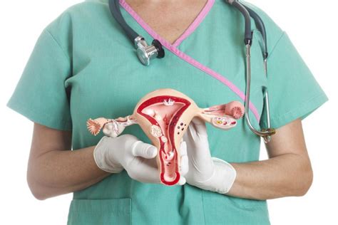 Cervical Endometrial And Ovarian Cancer Health Insure Savvy