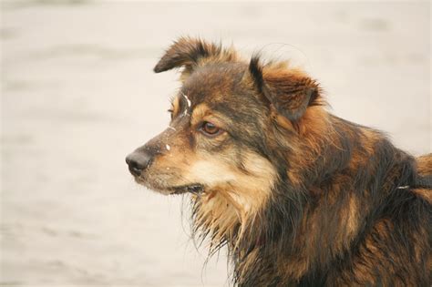 Cocker Lifestyle And More Gassi Geh Tip Heute Ging Es Zur