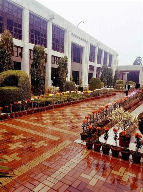 Zia Ul Islam Posted On Linkedin