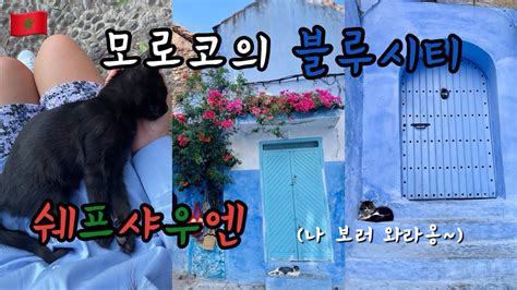 모로코 블루시티🇲🇦스머프 마을이라고도 불린다는 쉐프샤우엔ㅣ고양이의 도시😻 Chefchaouen Youtube