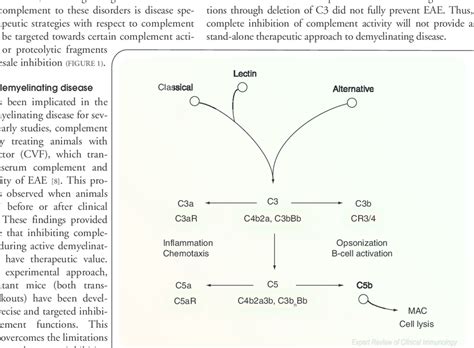Schematic Representation Of The Complement Pathways Activation Of The Download Scientific