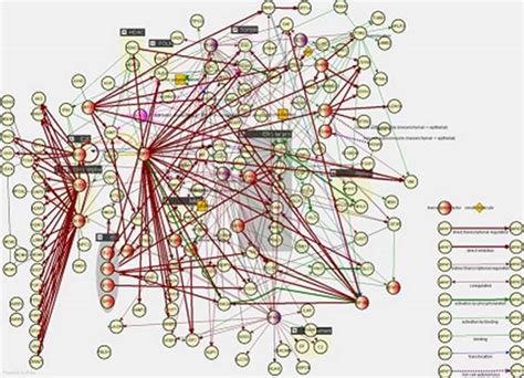 Bioinformatics