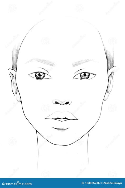 Face Chart Makeup Artist Blank Template Royalty Free Stock Image
