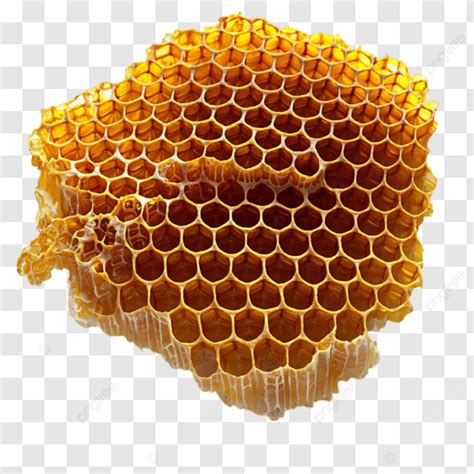 Honeycomb Structure With Golden Hexagonal Cells Dripping Sweet Fresh