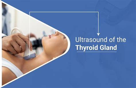 Understanding Ultrasound Of The Thyroid Gland Dr Moxit Shah