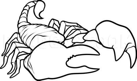 How To Draw A 3 D Scorpion Step By Step Drawing Guide By Dawn Dragoart Com Guided Drawing