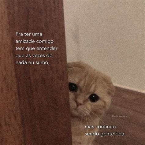 Pin De Mayanne Santos Em Frases Em 2024 Frases Engraçadas Sobre A