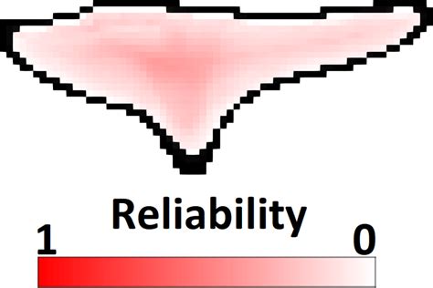7 Slice Through The Volume Showing The Reliability Per Voxel Of The Download Scientific