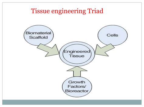 Polymeric And Metallic Scaffolds For Tissue Engineering Pptx