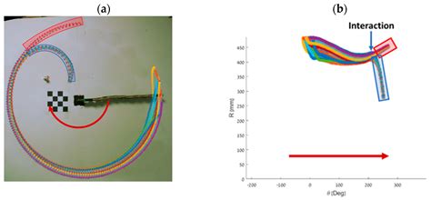 Interacting With Obstacles Using A Bio Inspired Flexible Underactuated Multilink Manipulator