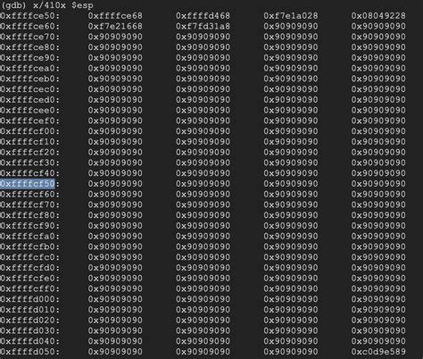 Ed 203 Linux Buffer Overflow With Listening Shell 15 Pts 30 Pts Extra