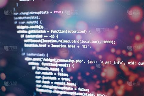 网站程序代码。它的业务。软件开发。网络安全黑客防范。