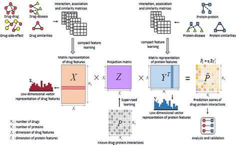 Scientists From Interdisciplinary Fields Published A New Machine Learning Algorithm For