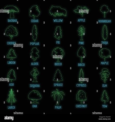Tree Types Icons Set Outline Illustration Of 25 Tree Types Vector