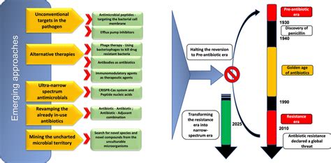 Schematic Representation Of The Various Approaches Used For Combating