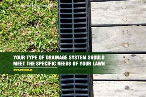 How To Improve The Drainage In Your Lawn Caledon Treeland