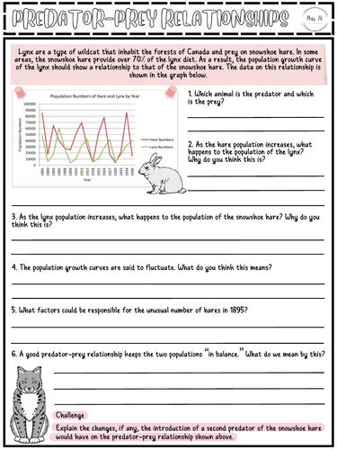 Predator Prey Relationships Worksheet Ks3 Teaching Resources