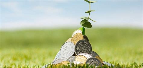 What Is Segment Reporting Learn The Key Insights For 2025