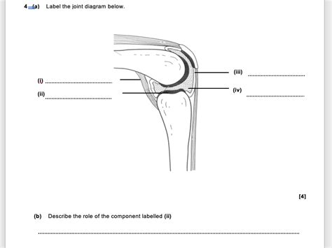 GCSE PE OCR A Skeletal System End Of Unit Test Teaching Resources