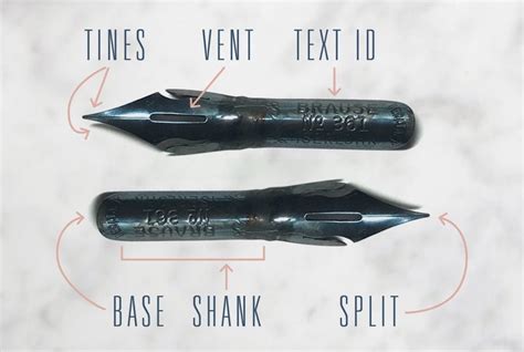 A Review Of Pointed Pen Calligraphy Nibs Proof Parchment