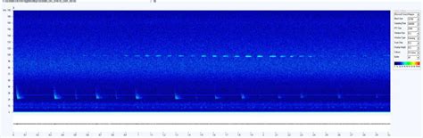 Spectrogram Of Echolocation Sequences Of Two Bat Species With Main Spectrogram Of Echolocation Sequences Of Two Bat Species With Main