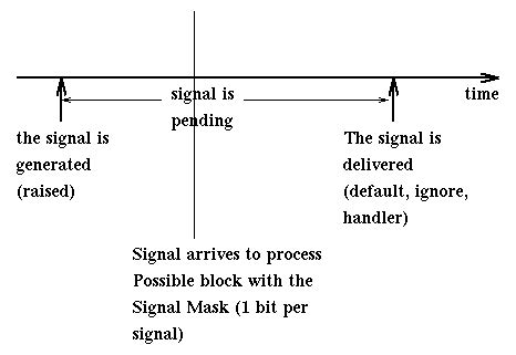 CIS Unix Signals