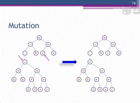 106遗传程序设计形式化遗传程序设计 Csdn博客