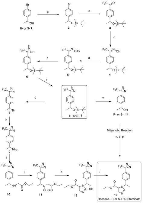 P Trifluoromethyldiazirinyl Etomidate A Potent Photoreactive General