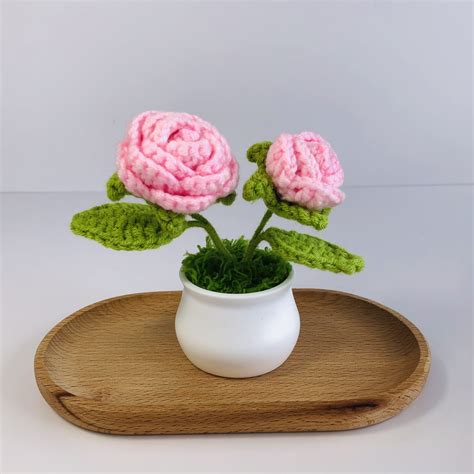 Pink Rose Plant Pot