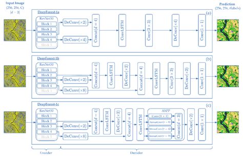 Deepforest Variations A Deepforest Architecture With One Convlstm Download Scientific