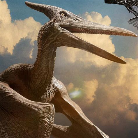 P1 Lmcjwf 02 Jurassic Park Iii Pteranodon