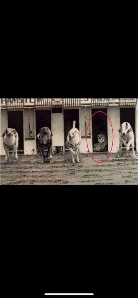 Bernd Drechsel On Linkedin Skills