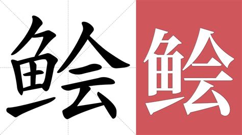 鲙的笔画顺序教学，鲙的意思，鲙的字义解释，鲙的字典查询，鲙的汉字编码。 Meaning Of 鲙 Definition Of 鲙