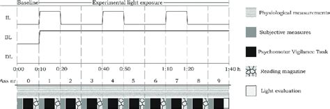 Visualization Of The Three Experimental Lighting Conditions And Download Scientific Diagram