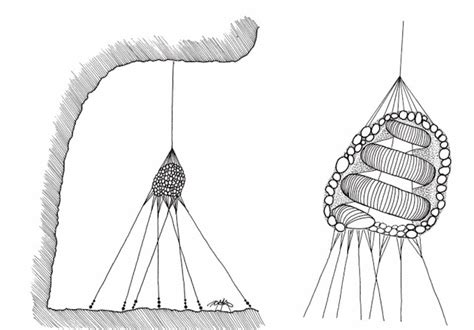 how to create efficient architecture structures through biomimicry